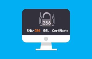 SHA256 Encryption | Know About SHA256 Length & How it Works