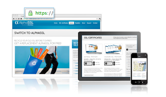 AlphaSSL Review | Should You Use It? Real Reviews