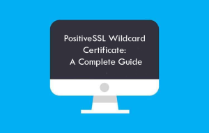 PositiveSSL Wildcard Certificate: Complete Guide to Secure Unlimited ...